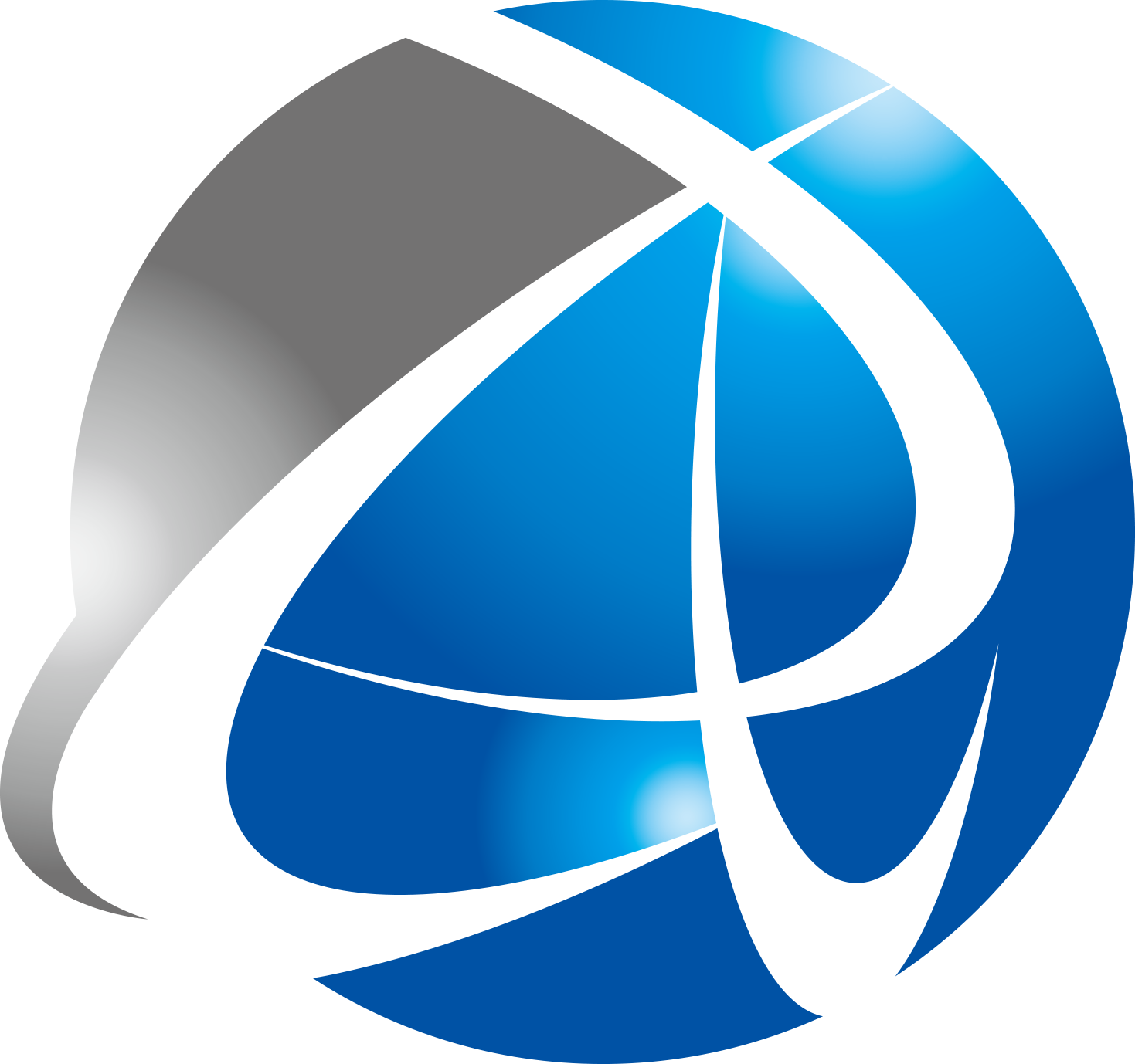 株式会社 Rise Tech Solutions